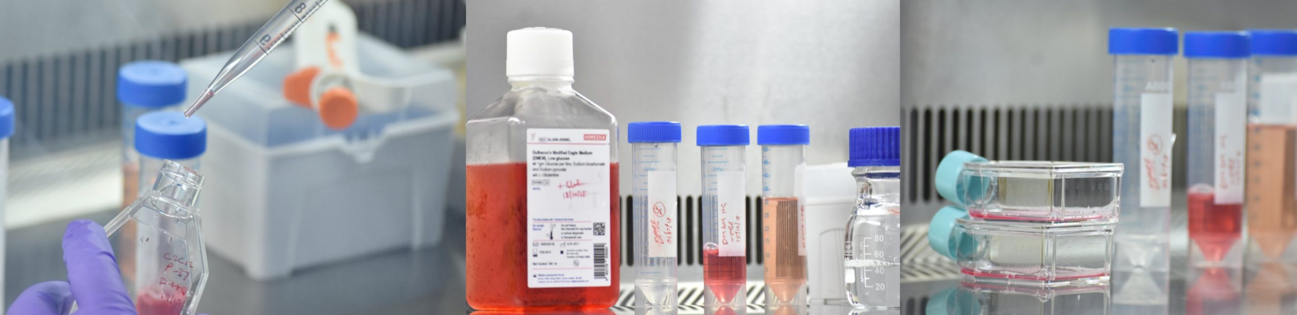 Types of Cell culture media - CELLKRAFT BIOTECH PVT. LTD. Types of ...