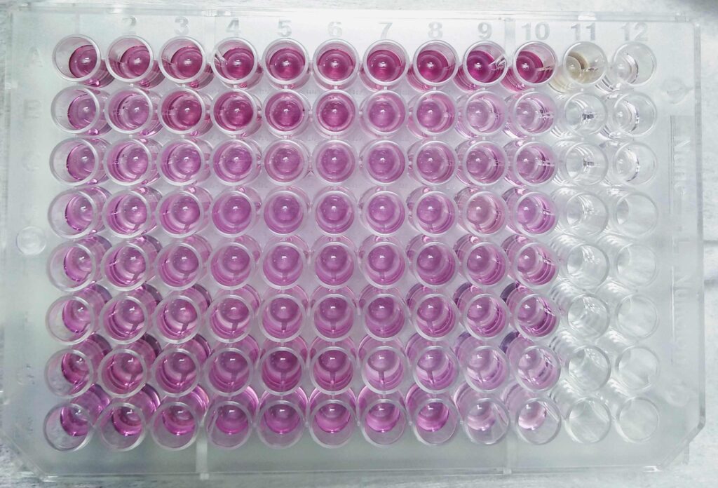 Useful cell culture info - CELLKRAFT BIOTECH PVT. LTD.