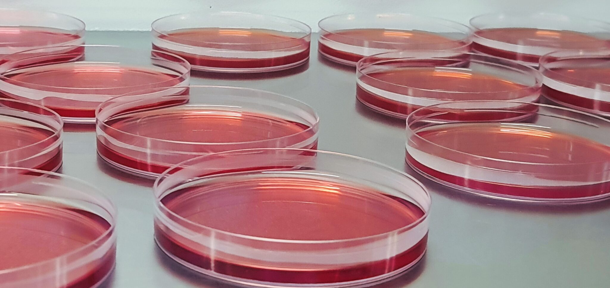 Useful cell culture info - CELLKRAFT BIOTECH PVT. LTD.